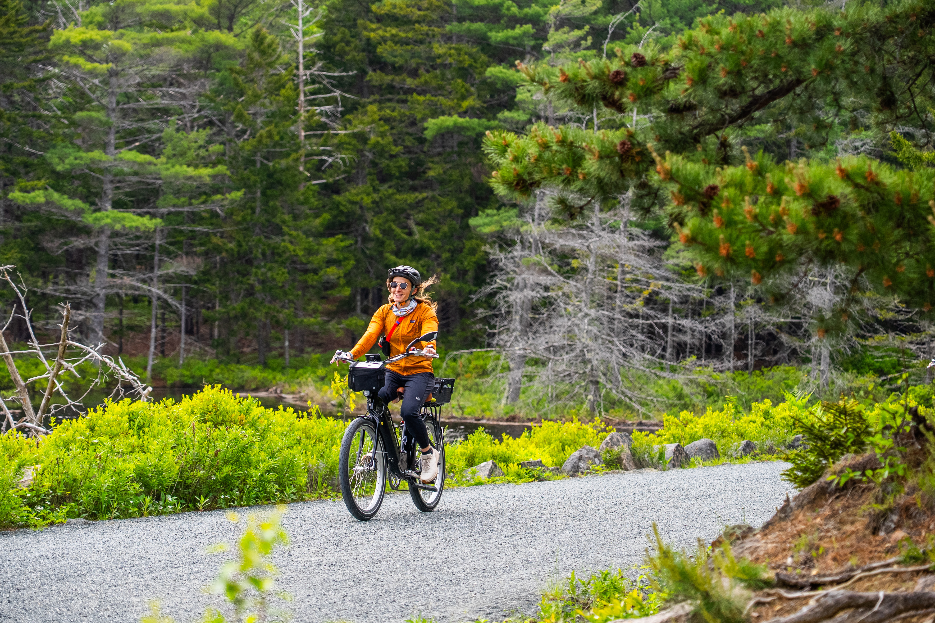 Ebike Rentals for Acadia National Park | Acadia Ebike Adventure
